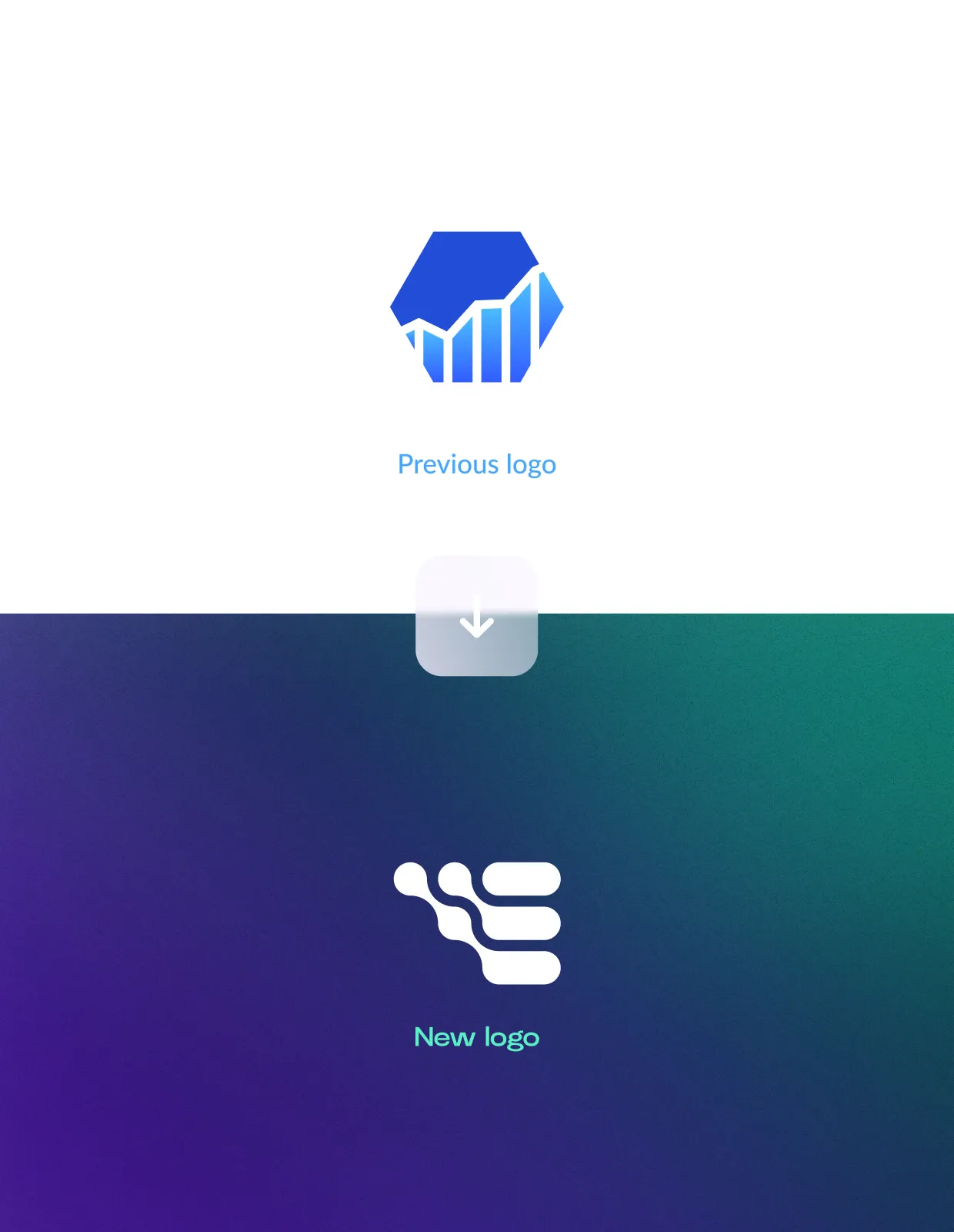 addmore® // digital experience studio